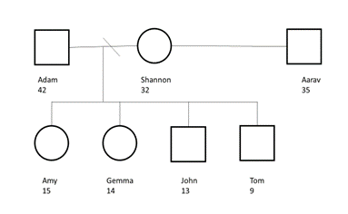 Genograms - Plymouth Safeguarding Children Partnership